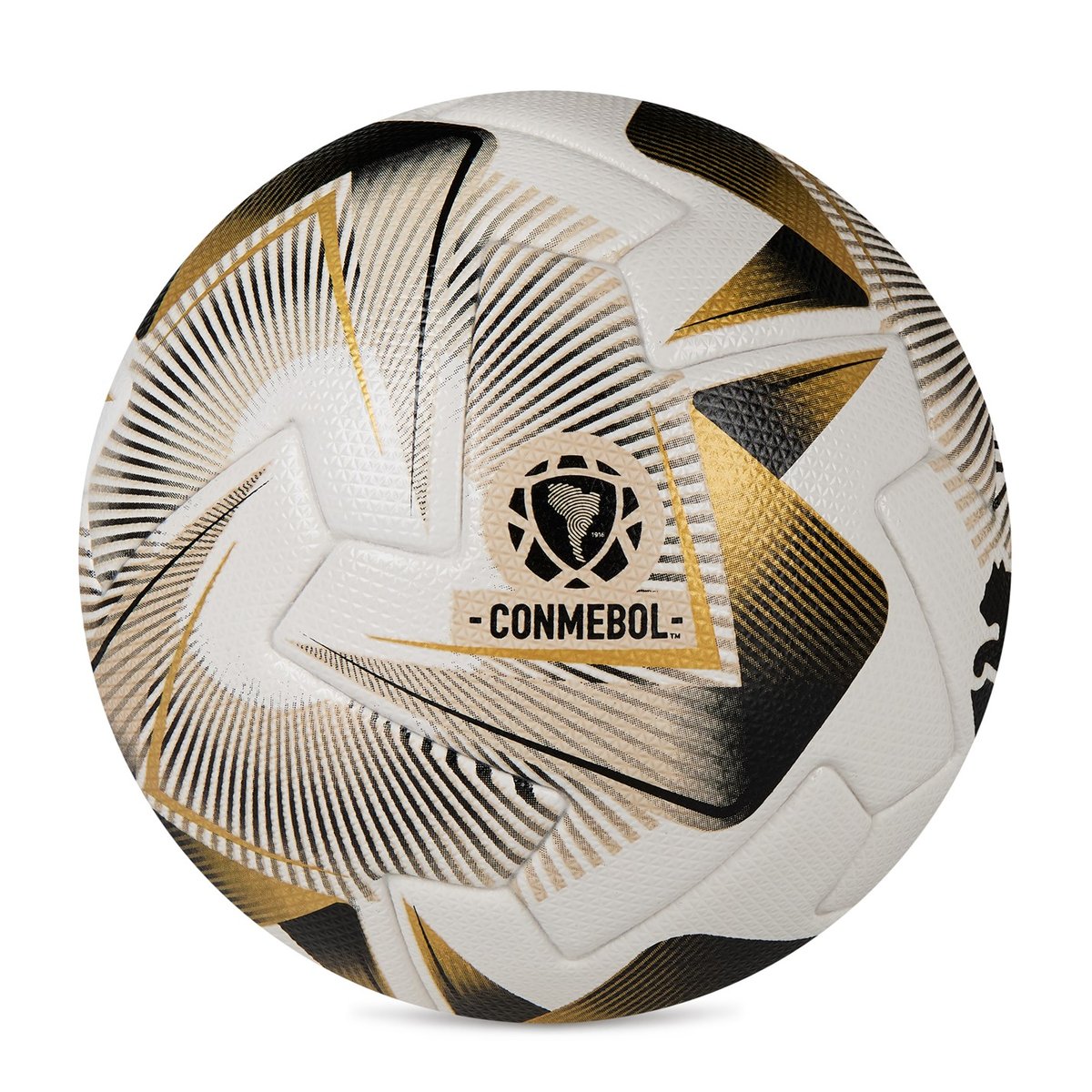 Puma Ball